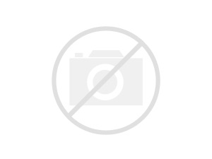 Hansgrohe Handbrause Raindance Select E 120 Brushed Black , 26520340 ...